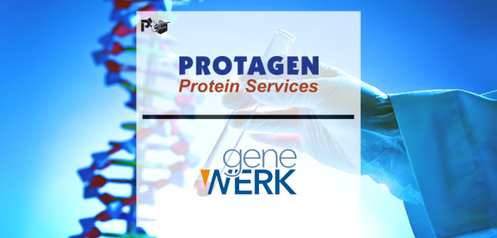 Protagen Protein Services Merges with GeneWerk to Integrate Leading ...